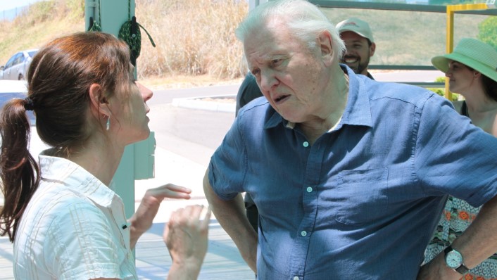 Scientific honour for assisted evolution pioneer | AIMS